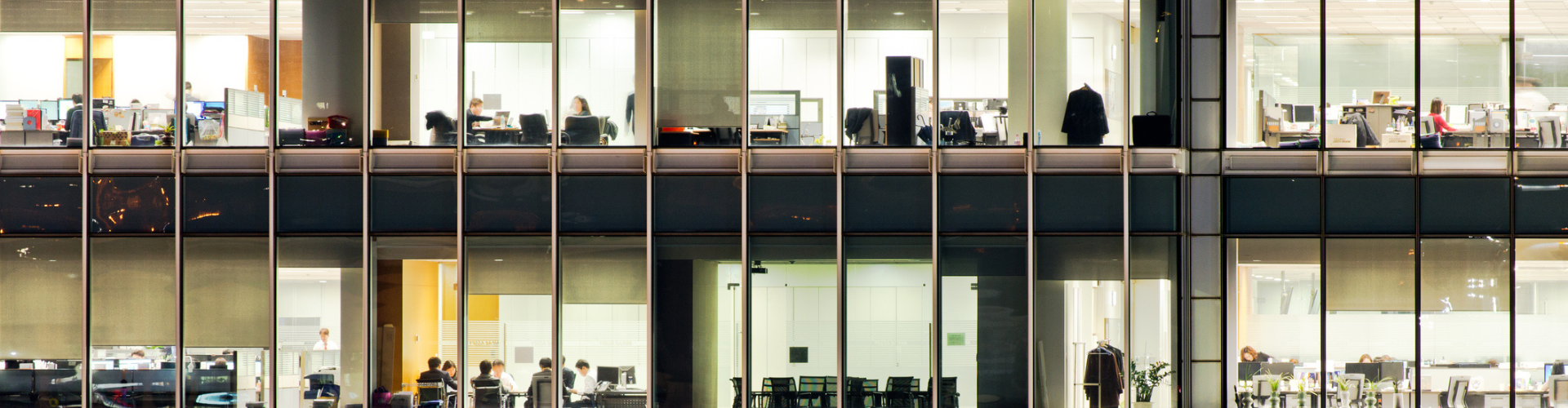 The Future of Carbon Credits: Key Takeaways from COP29